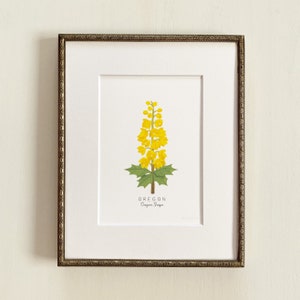 Oregon State Flower Print | CUSTOMIZABLE | Oregon State Flower Art ...