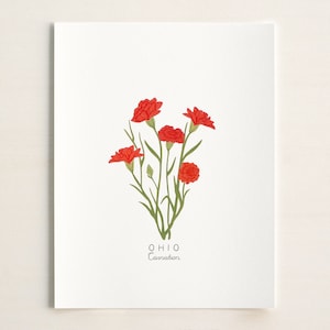 Ohio State Flower Print | CUSTOMIZABLE | Ohio State Flower Art, Ohio ...