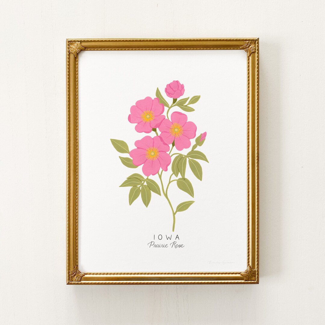 Iowa State Flower Print | CUSTOMIZABLE | Iowa Art Print, Prairie Rose ...