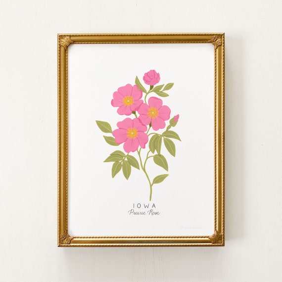 Iowa State Flower Iowa State University Alumni | A Spring Stroll