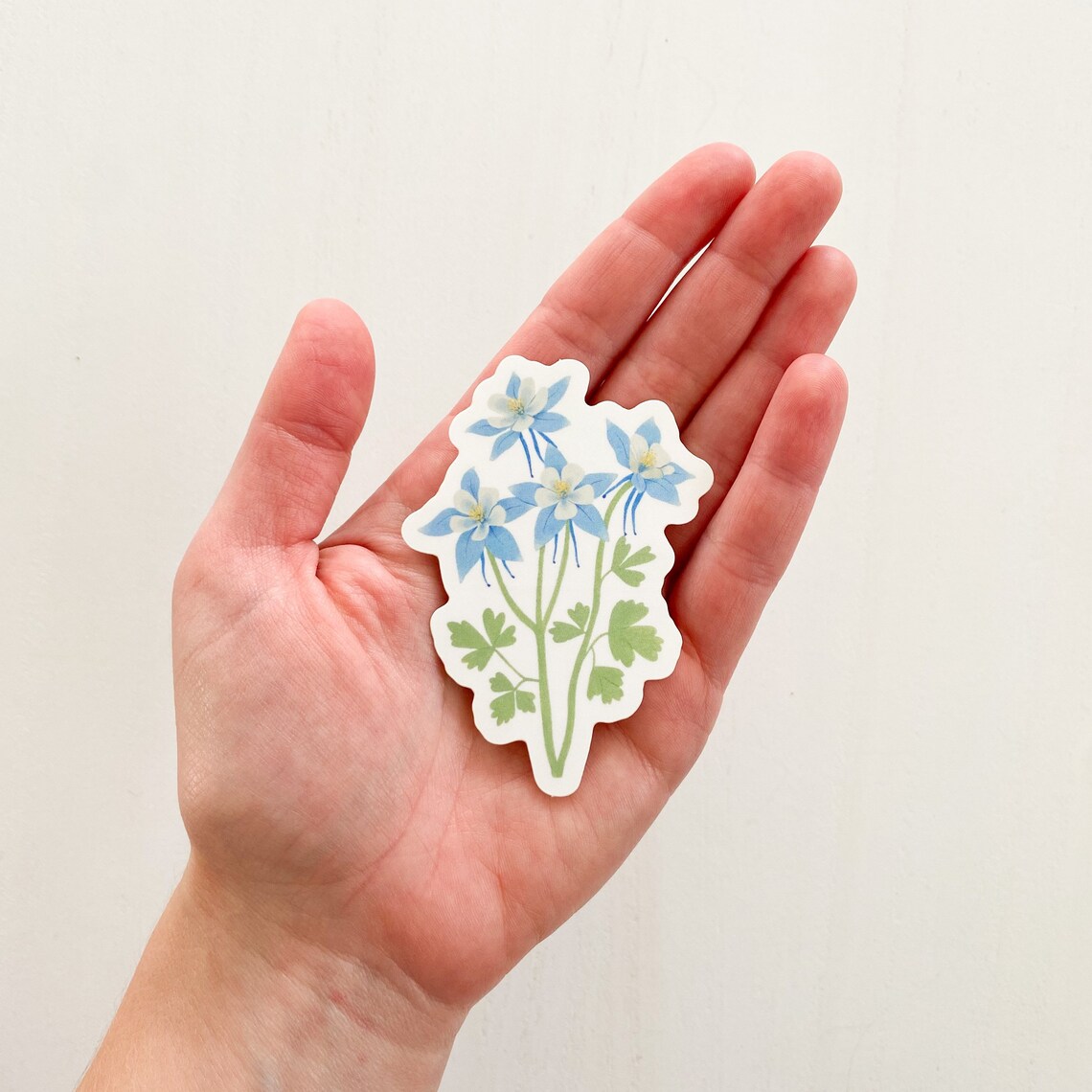 Colorado State Flower Sticker Colorado State Flower - Etsy