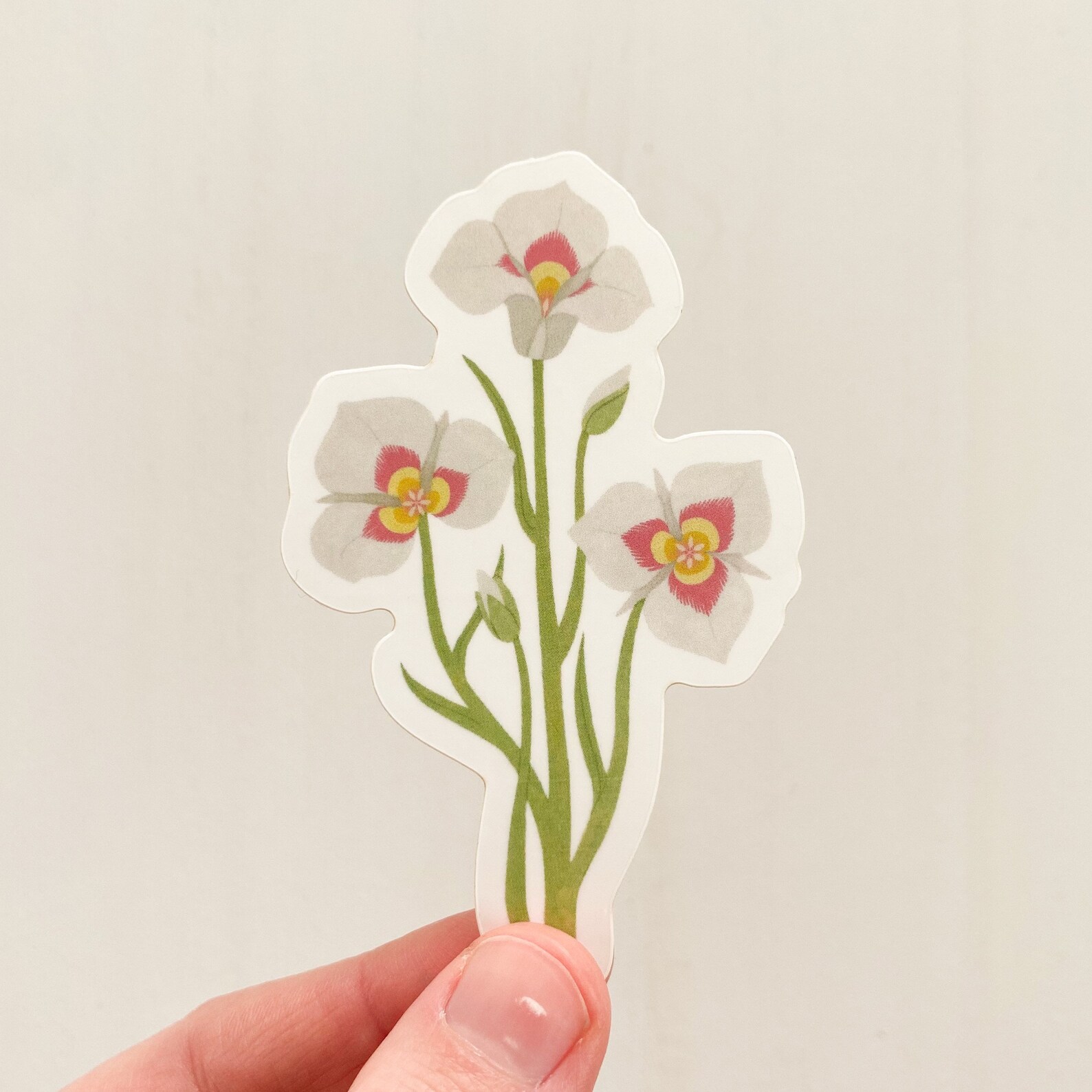 Utah State Flower Sticker Utah State Flower Sego Lily | Etsy