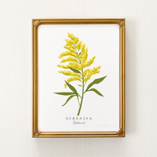 Goldenrod Flower - Etsy