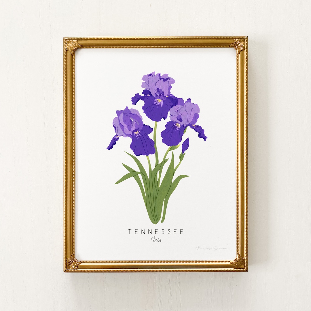 Tennessee State Flower Print | CUSTOMIZABLE | Iris Print, Tennessee ...