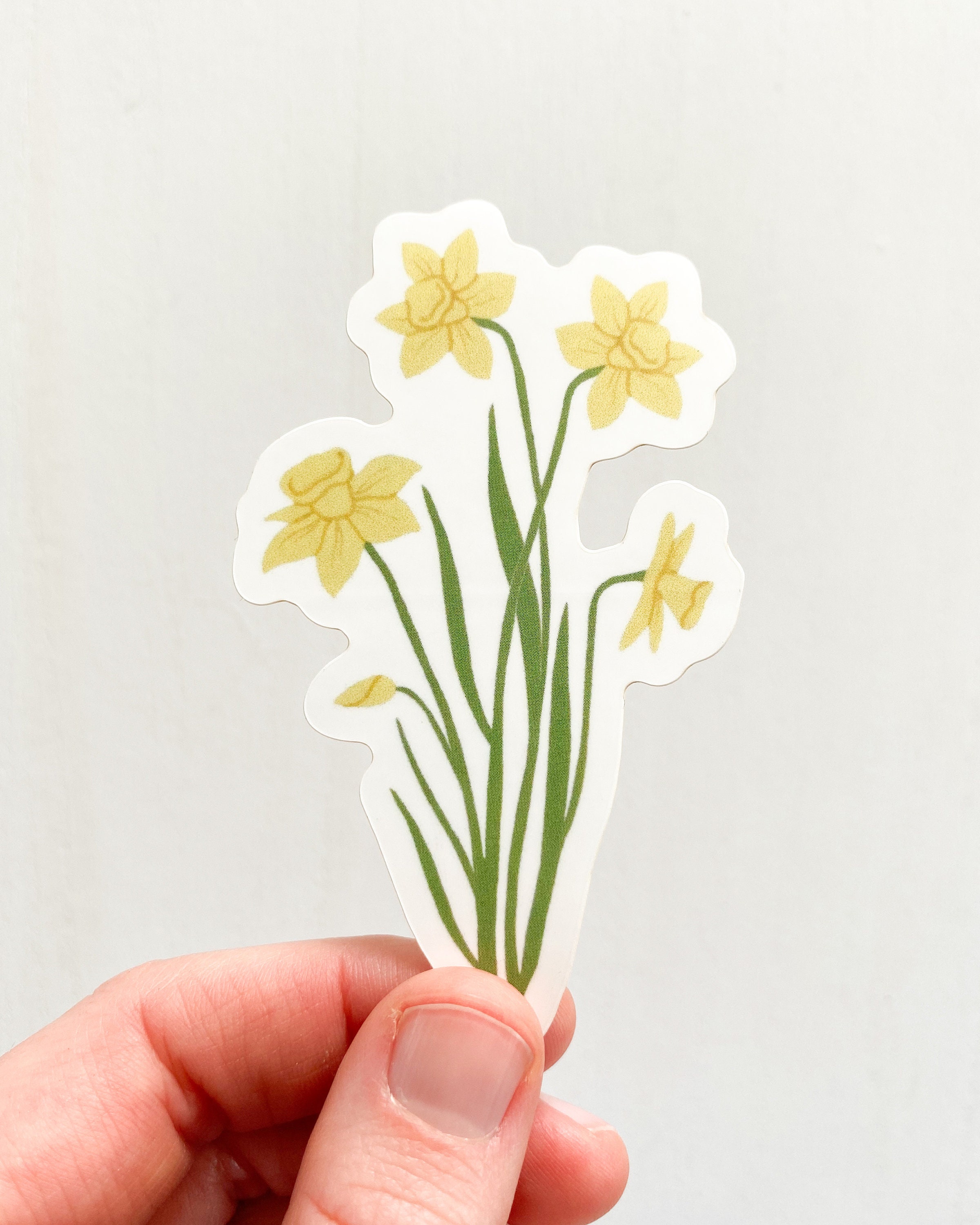 March Birth Flower Sticker, March Birth Month Flower, Daffodil Flower ...