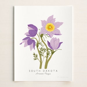 South Dakota State Flower Print | CUSTOMIZABLE | Pasque Flower Print ...