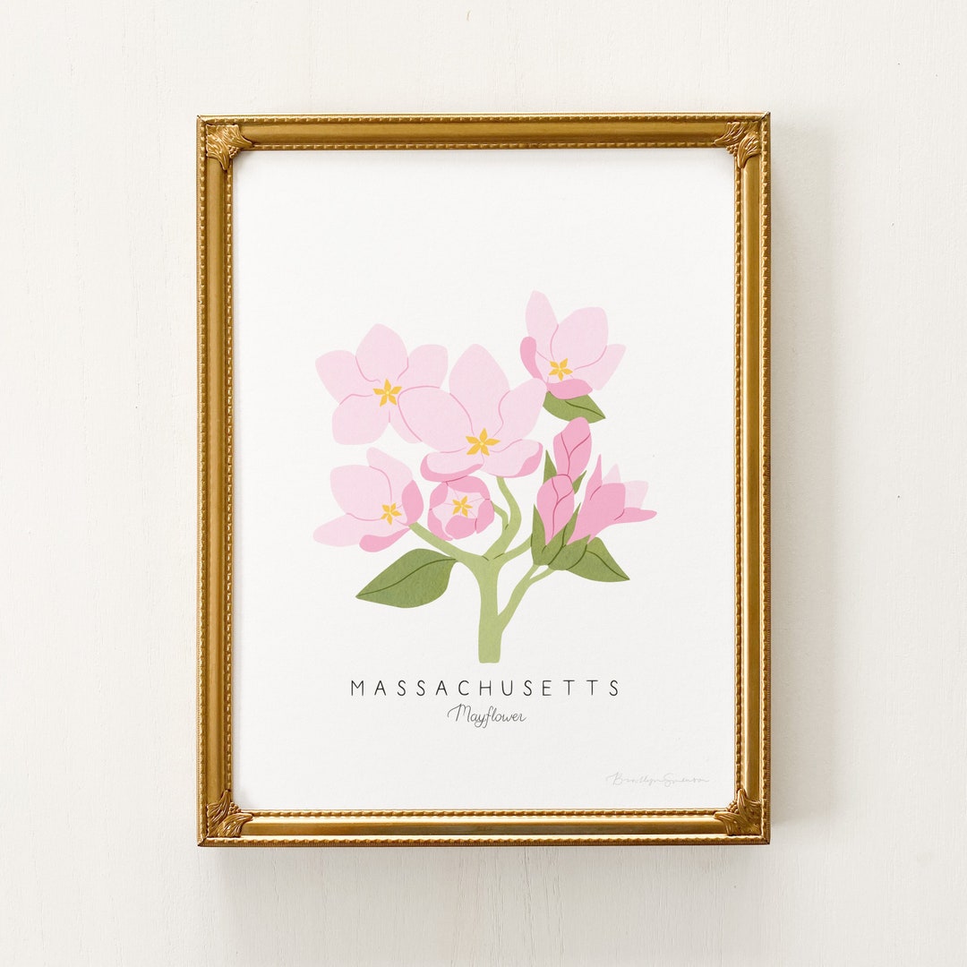 Massachusetts State Flower Print | CUSTOMIZABLE | Mayflower Print ...