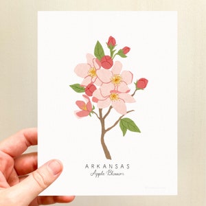 Arkansas State Flower Print | CUSTOMIZABLE | Apple Blossom Flower ...