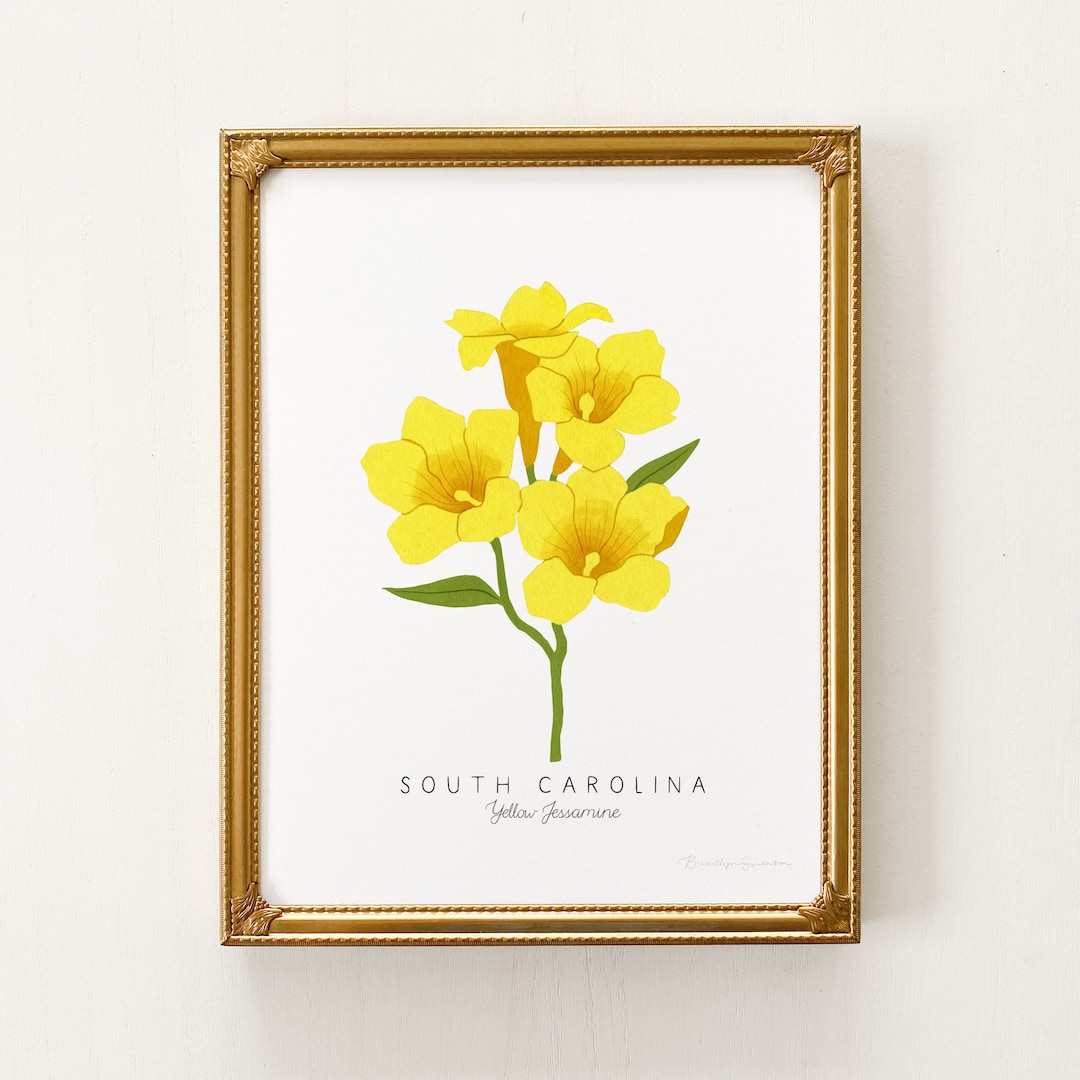 South Carolina State Flower Print | CUSTOMIZABLE | Yellow Jessamine ...