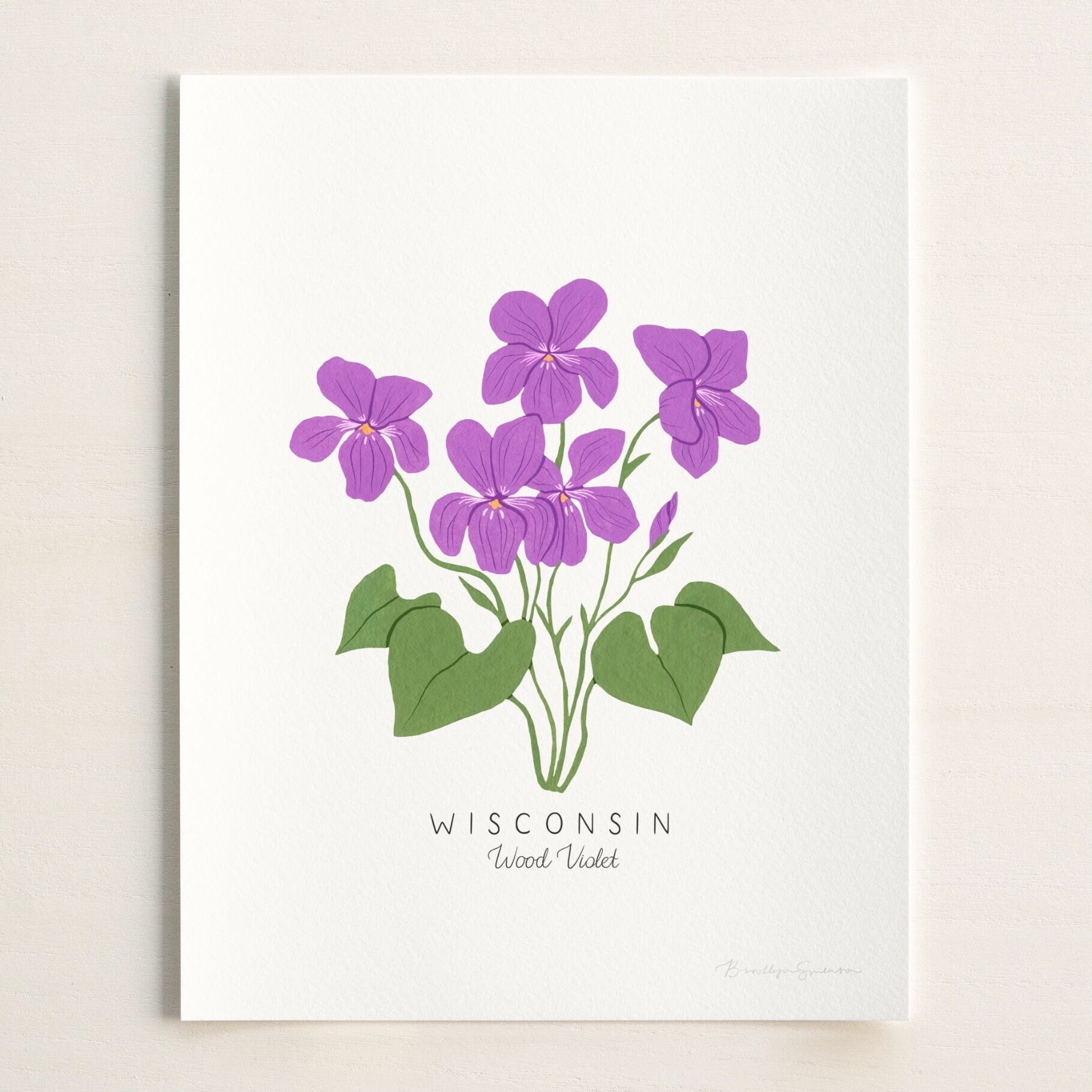 Página Para Colorear De La Flor Del Estado De Wisconsin