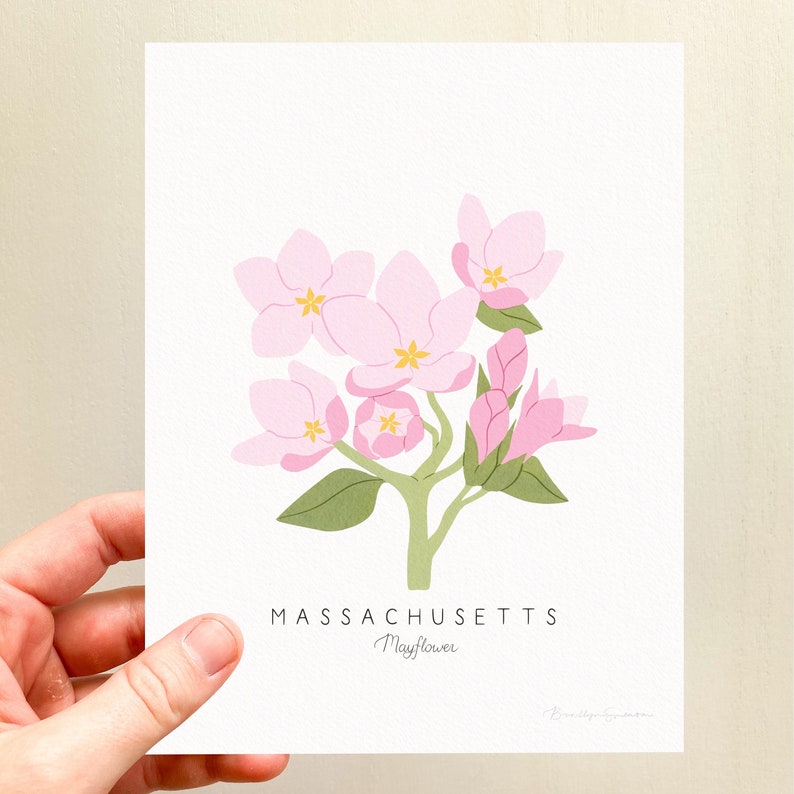 Massachusetts State Flower Print | CUSTOMIZABLE | Mayflower Print ...
