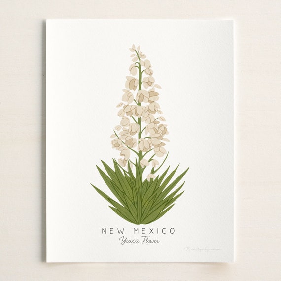 New Mexico National Flower