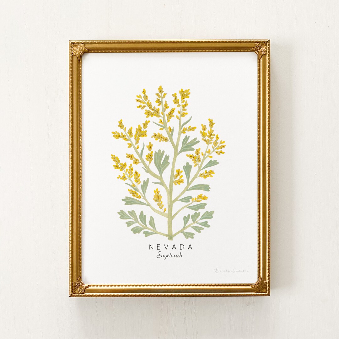 Nevada State Flower Print | CUSTOMIZABLE | Nevada State Flower Art ...