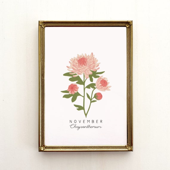 November Birth Flower The Chrysanthemum November Birth Flowers And