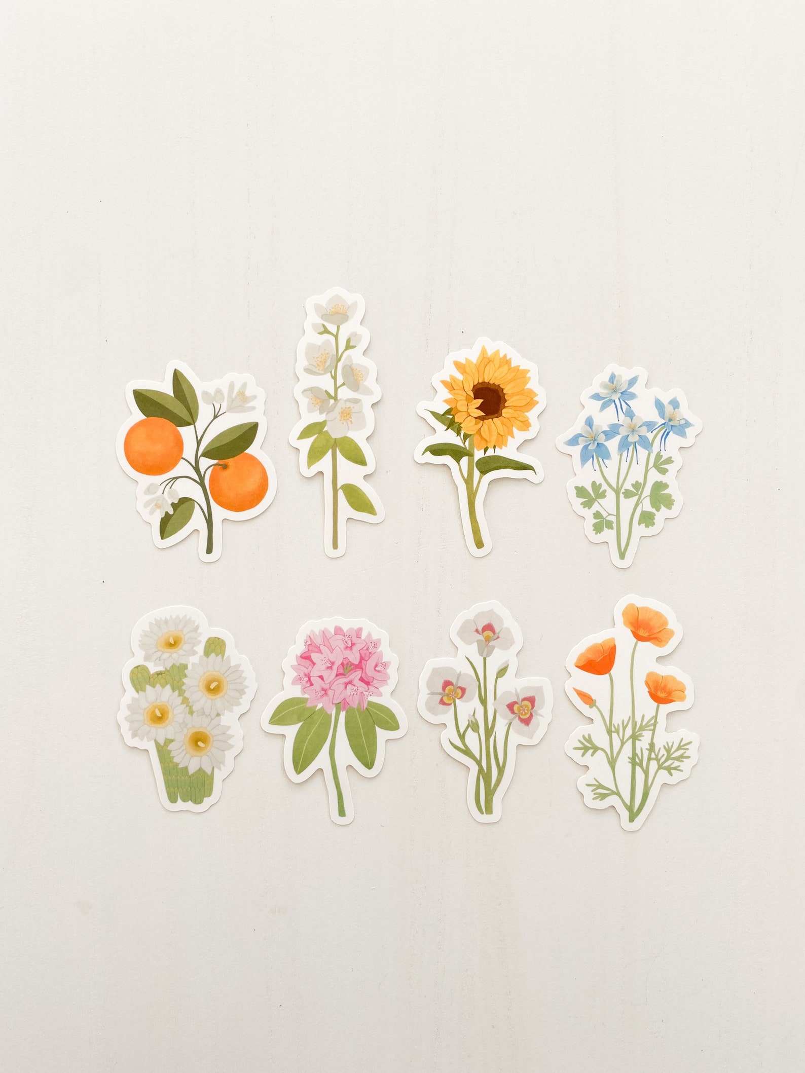 Sunflower Sticker Kansas State Flower Sticker Kansas State - Etsy