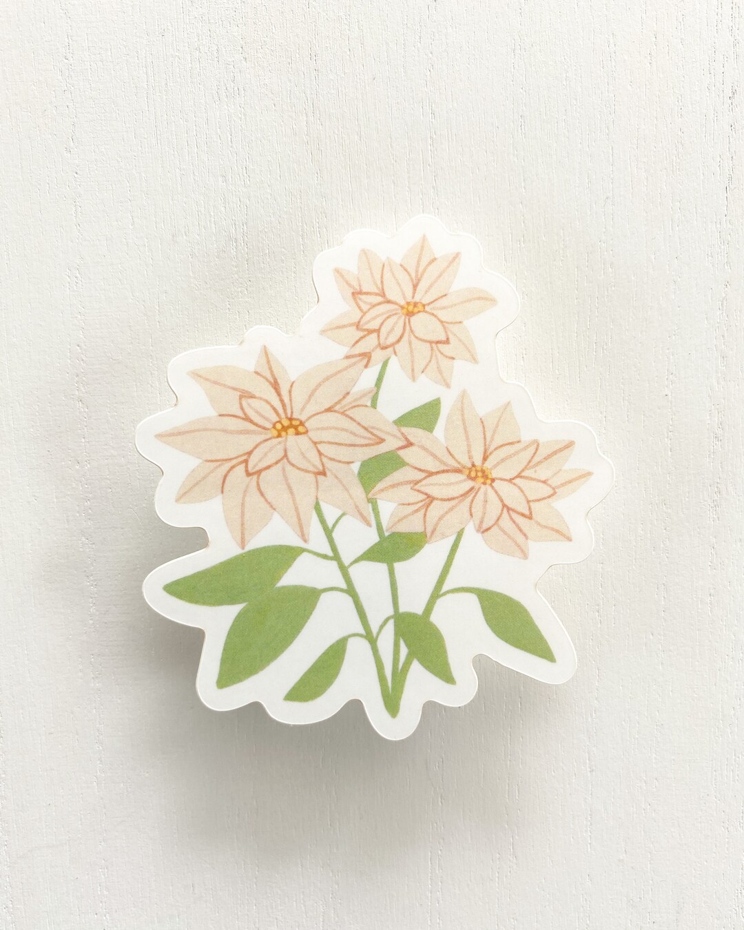 December Birth Flower Sticker, December Birth Month Flower, Poinsettia ...