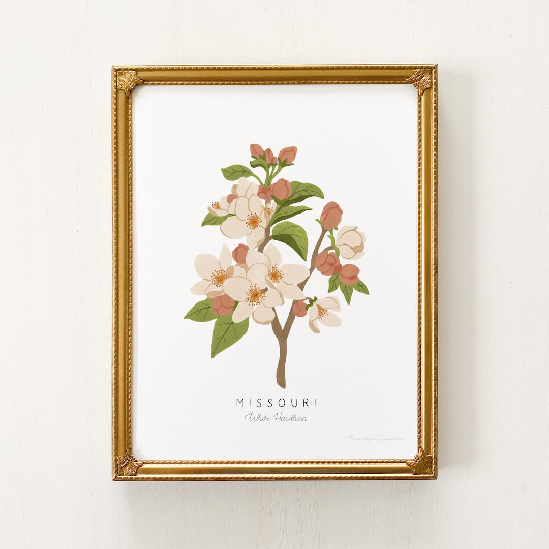 Missouri State Flower Print | CUSTOMIZABLE | White Hawthorn Print ...