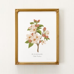 Missouri State Flower Print | CUSTOMIZABLE | White Hawthorn Print ...
