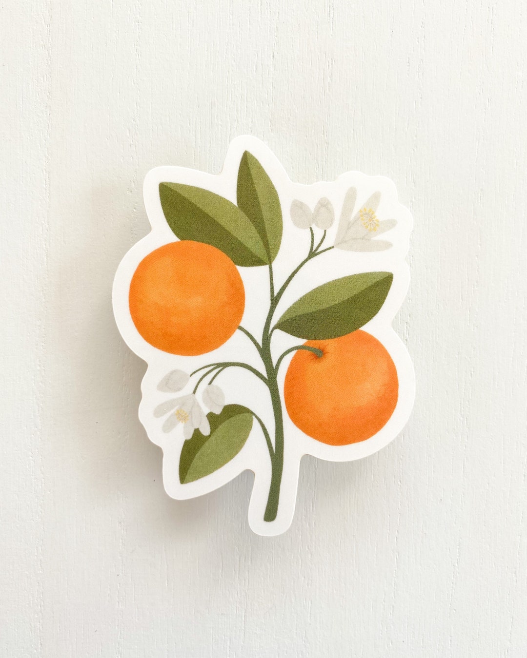 Orange Blossom Sticker | Florida State Flower Sticker, Florida State ...