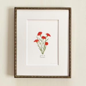 Ohio State Flower Print | CUSTOMIZABLE | Ohio State Flower Art, Ohio ...