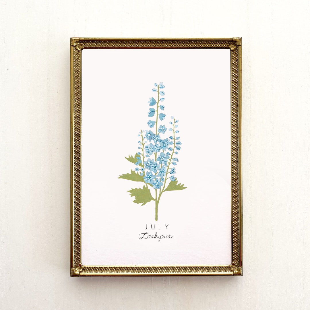 July Birth Flower Print, July Birth Month Flower, Larkspur Flower ...