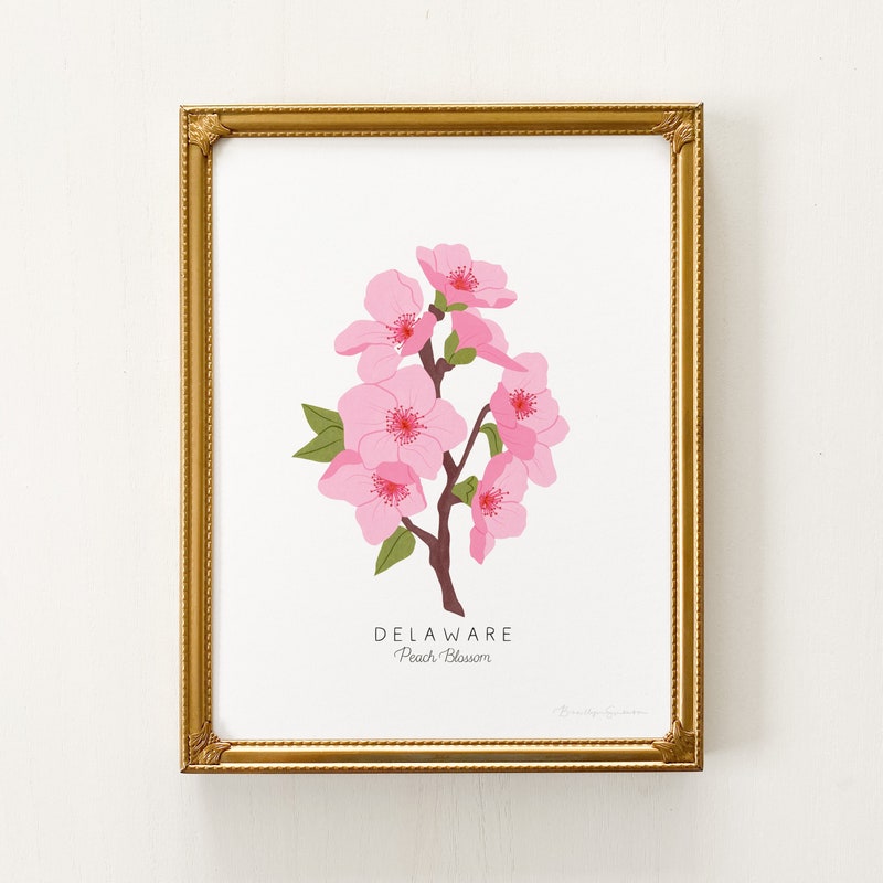 BrooklynSwenson - Etsy