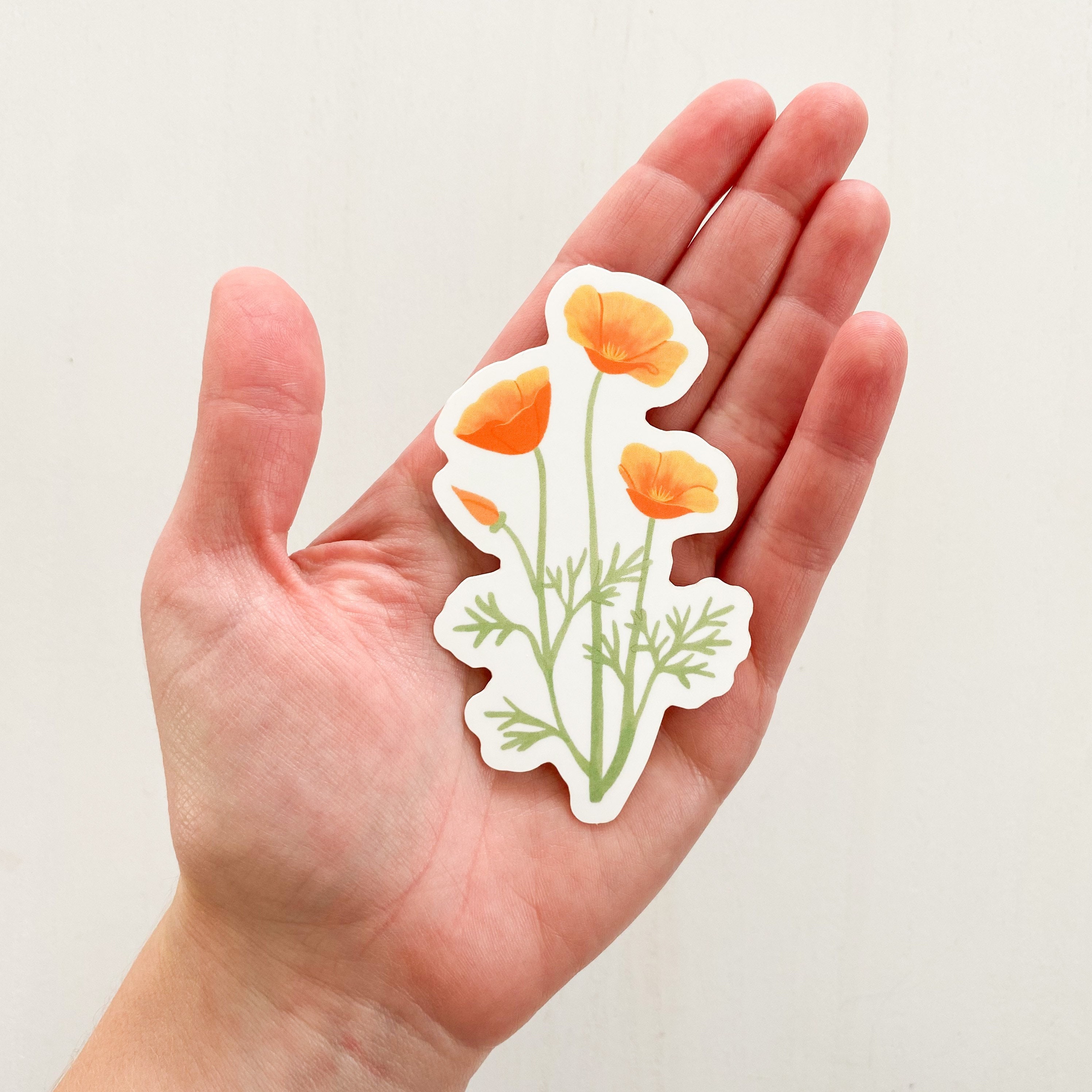 California State Flower Sticker, California State Flower, California ...