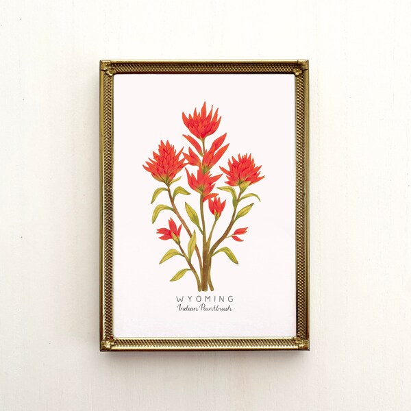 Watercolor Painting Indian Paintbrush Flower - Etsy