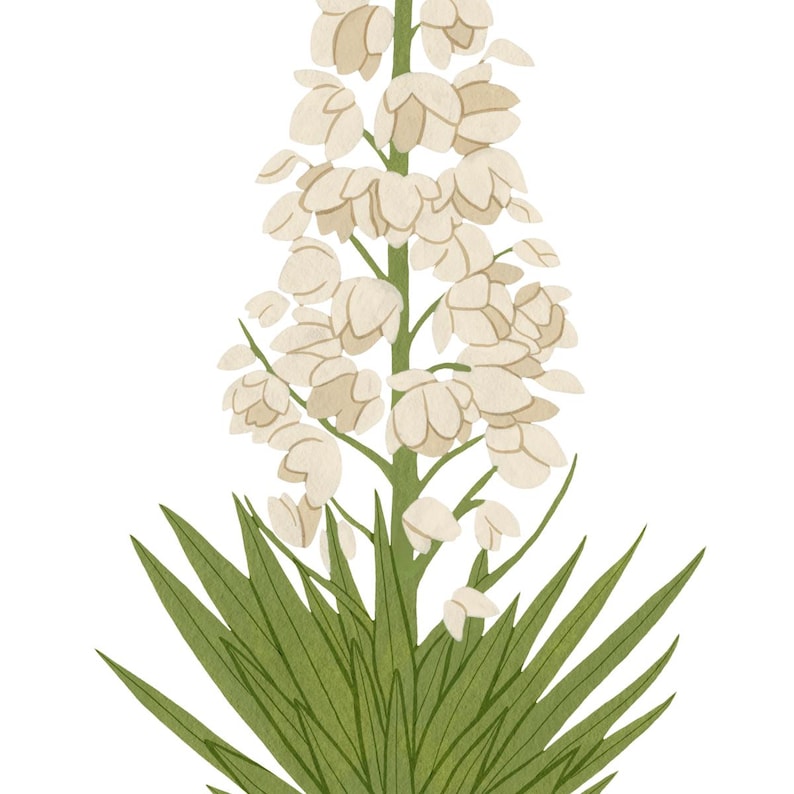 New Mexico State Flower Print | CUSTOMIZABLE | Yucca Flower Print, New ...