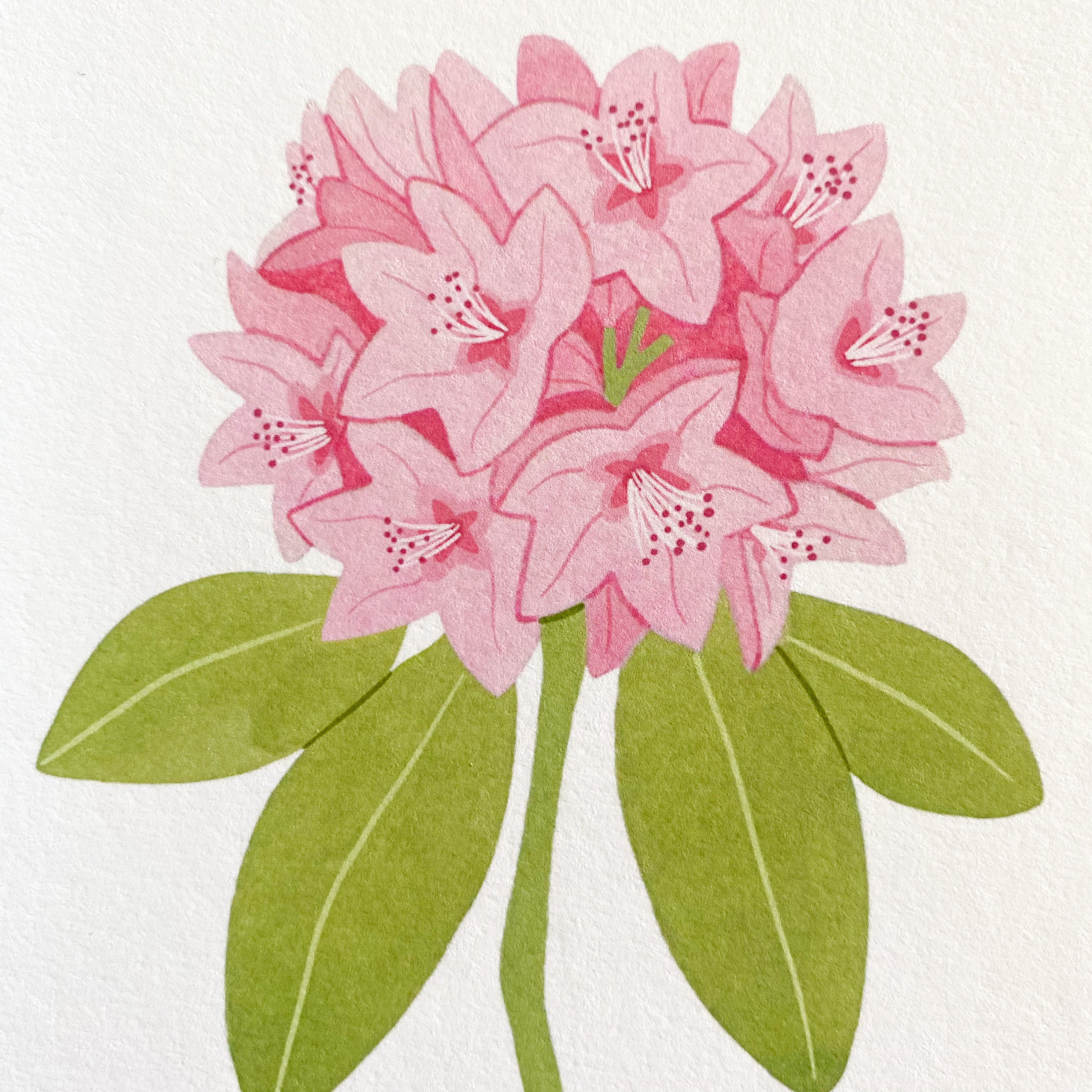 Washington State Flower Print Washington State Flower - Etsy