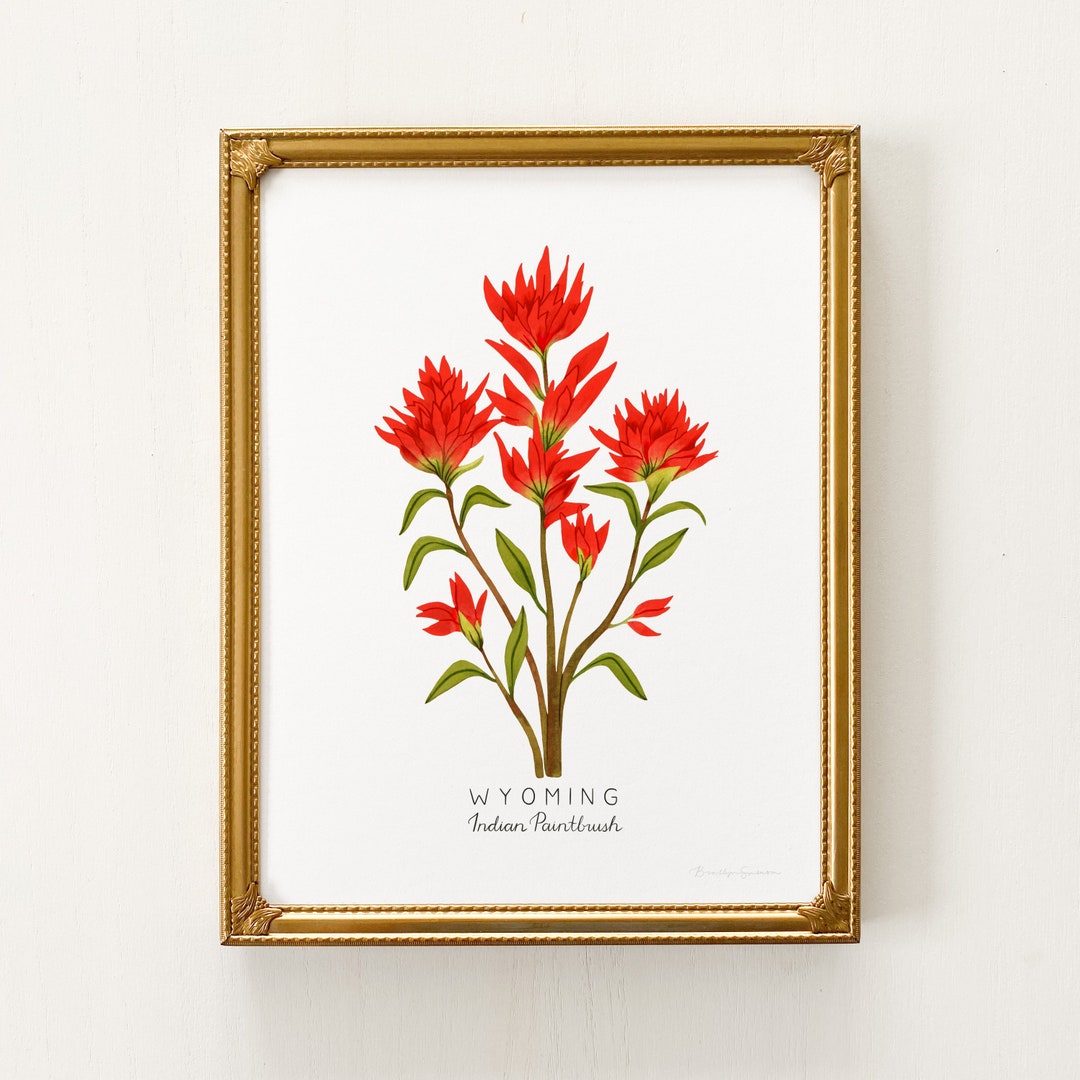 Wyoming State Flower Print | Wyoming State Flower Art, Wyoming State ...