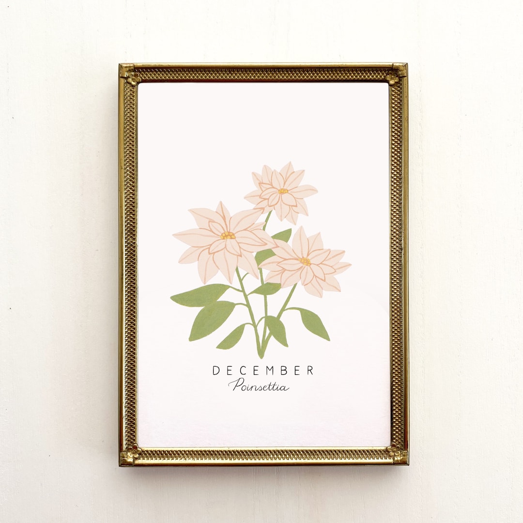 December Birth Flower Print, December Birth Month Flower, Poinsettia ...