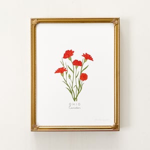 Ohio State Flower Print | CUSTOMIZABLE | Ohio State Flower Art, Ohio ...