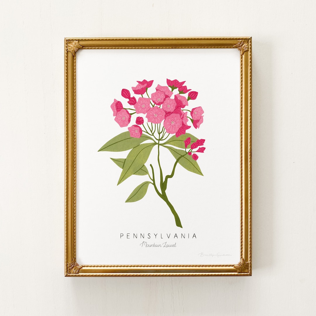 Pennsylvania State Flower Print | CUSTOMIZABLE | Mountain Laurel Print ...
