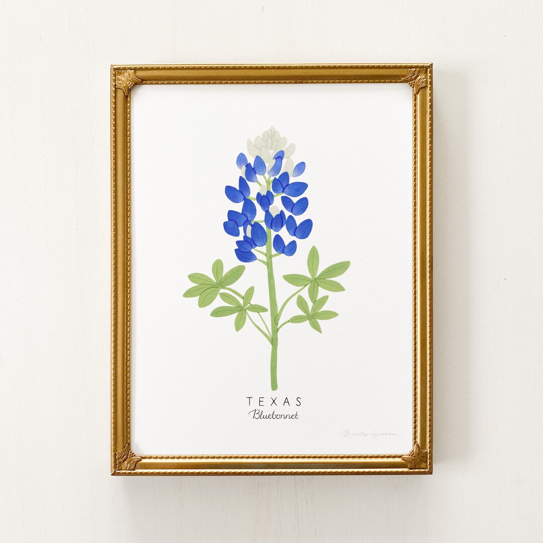 Texas State Flower Print | CUSTOMIZABLE | Texas State Flower Art ...