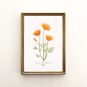 California Poppy State Flower Art Print - Etsy