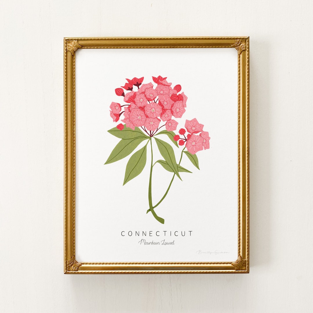 Connecticut State Flower Print | CUSTOMIZABLE | Laurel Print ...