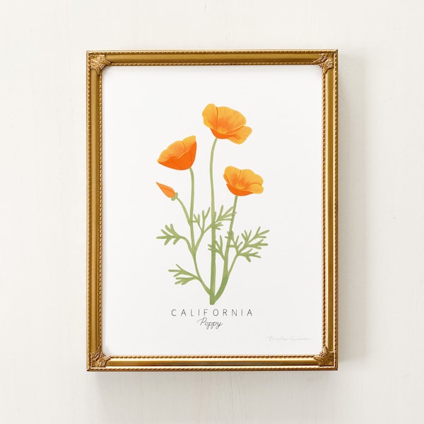 California Poppy Art - Etsy