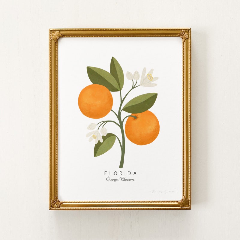 Florida Oranges - Etsy