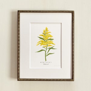 Kentucky State Flower Print | CUSTOMIZABLE | Goldenrod Print, Kentucky ...