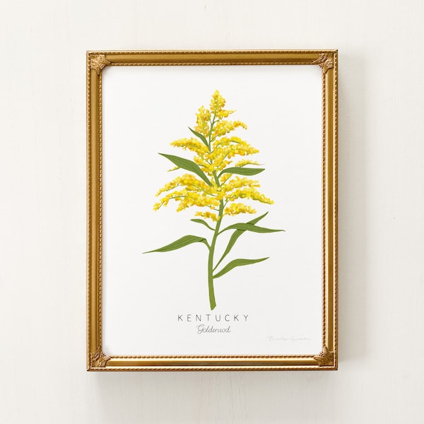 Kentucky Painting - Etsy