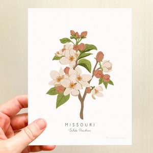 Missouri State Flower Print | CUSTOMIZABLE | White Hawthorn Print ...