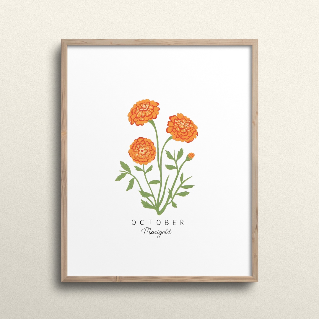 October Birth Flower Print, October Birth Month Flower, Marigold Flower ...