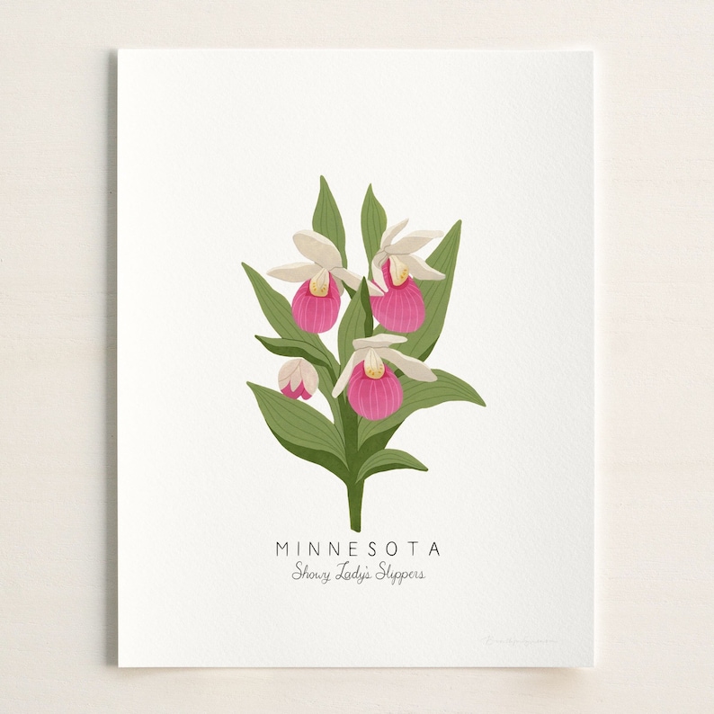 Minnesota State Flower Print CUSTOMIZABLE Showy Ladys - Etsy