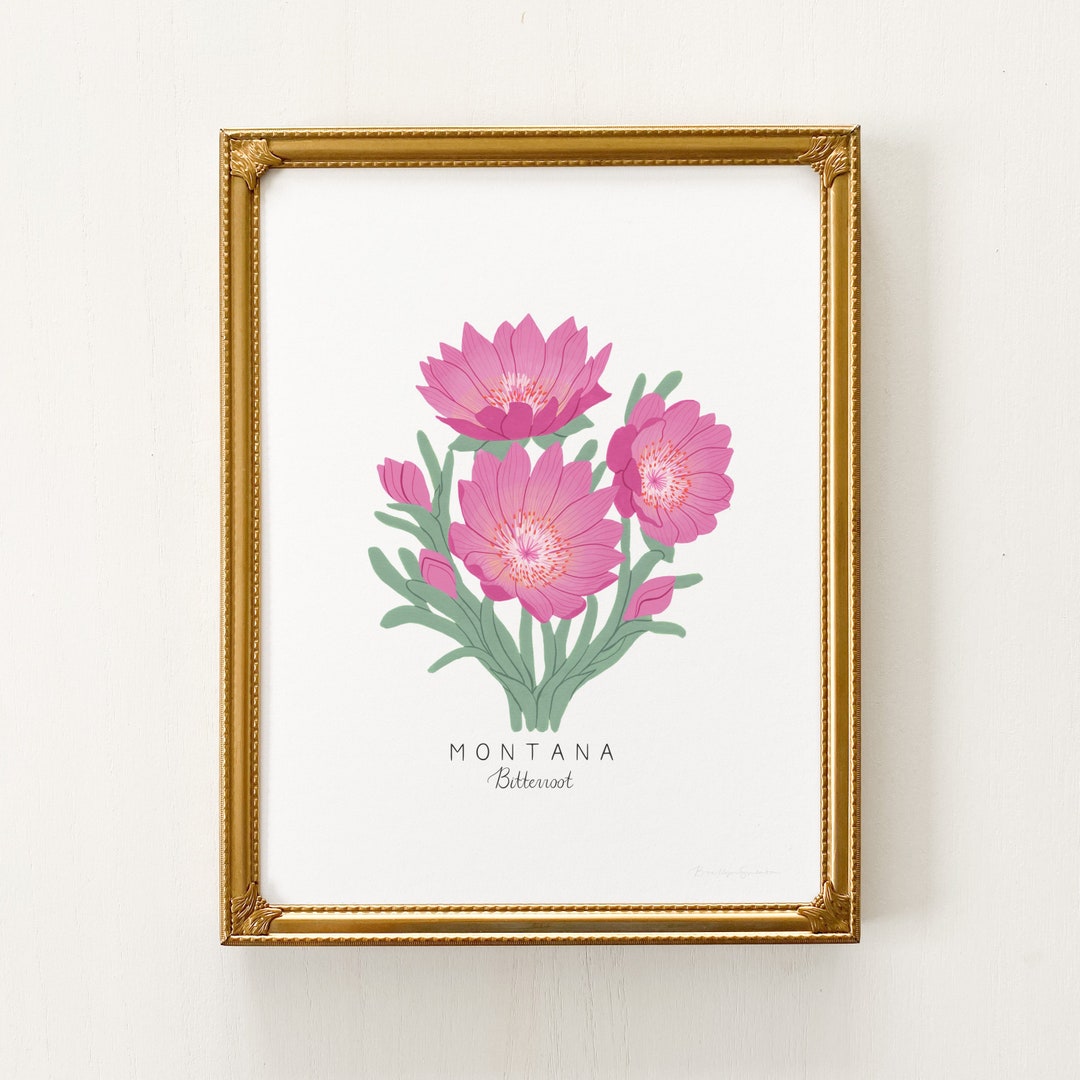 Montana State Flower Print | CUSTOMIZABLE | Bitterroot Art Print ...