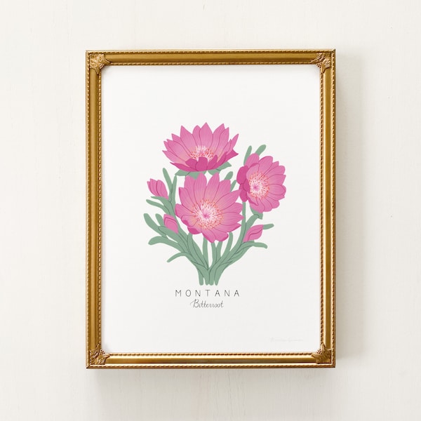 Bitterroot Flower - Etsy