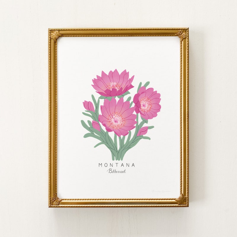 Bitterroot Flower - Etsy