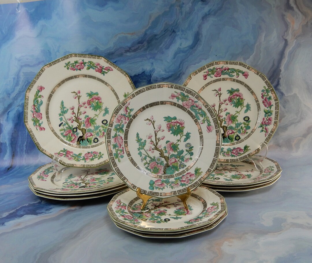 Myott Son& Co. England indian Tree Set of 12 Piece 10, 9 and 8 Plates ...