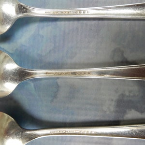 Set of 6 Nobility Plate regal Rose Silverplate Tea Spoons 6-1/4 - Etsy