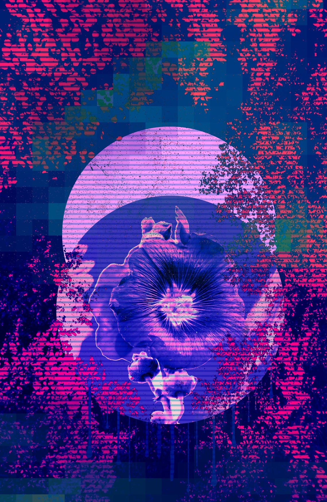 Rose of the Moon - 11x17" Glossy Print - Vaporwave Aesthetic Art - Etsy